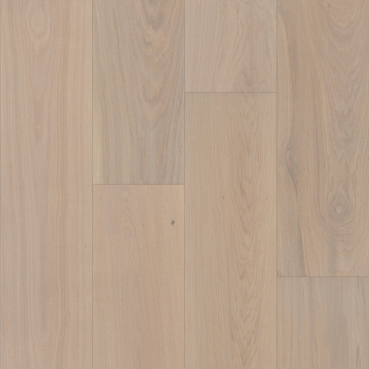 Artisan 10" in Sanderling | Fabrica