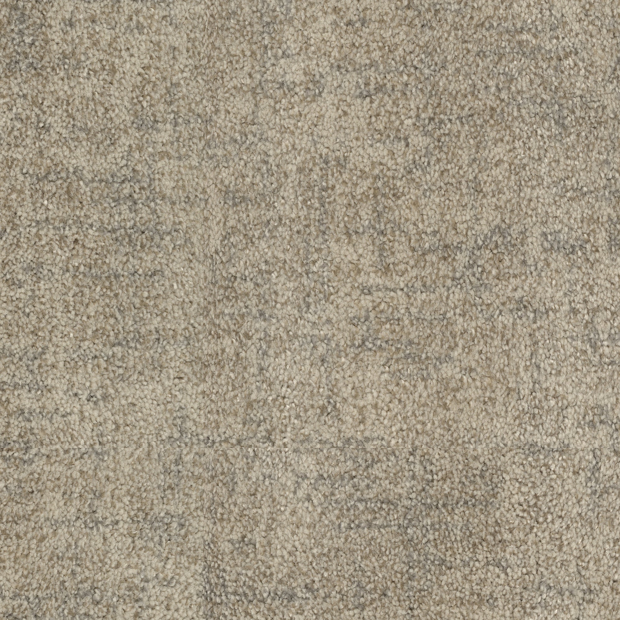 Beverly Hills Carpet Flooring | Fabrica