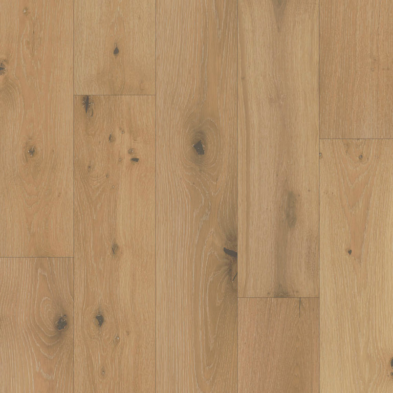 Citadel Collection in Shell | Fabrica