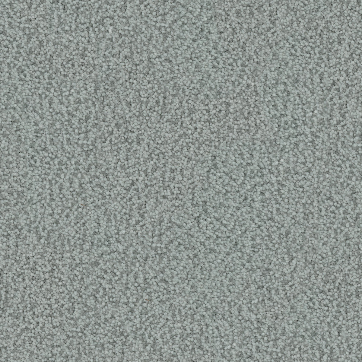 Element Carpet Flooring | Fabrica